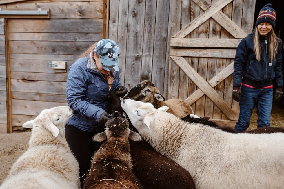 QR Code Tour – Thank You | Animal Haven of Asheville